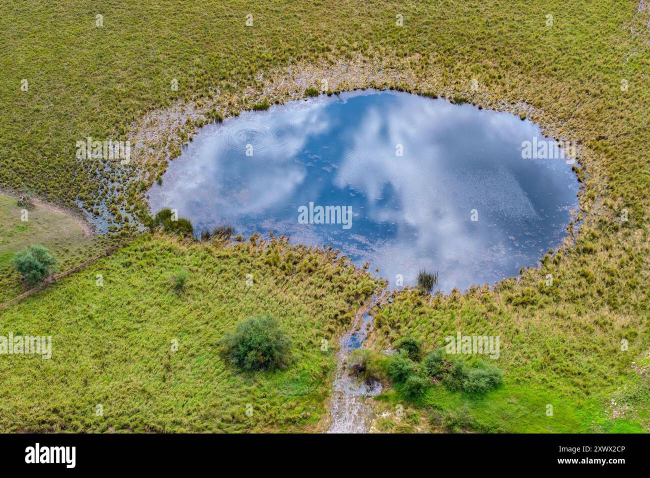 Aerial photo shows the scenery of Ergun Wetland in Hulun Buir City ...