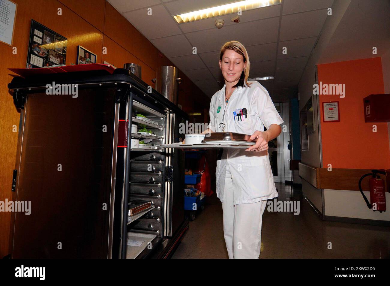 food and nutrition in an hospital given food and nutrition in an ...