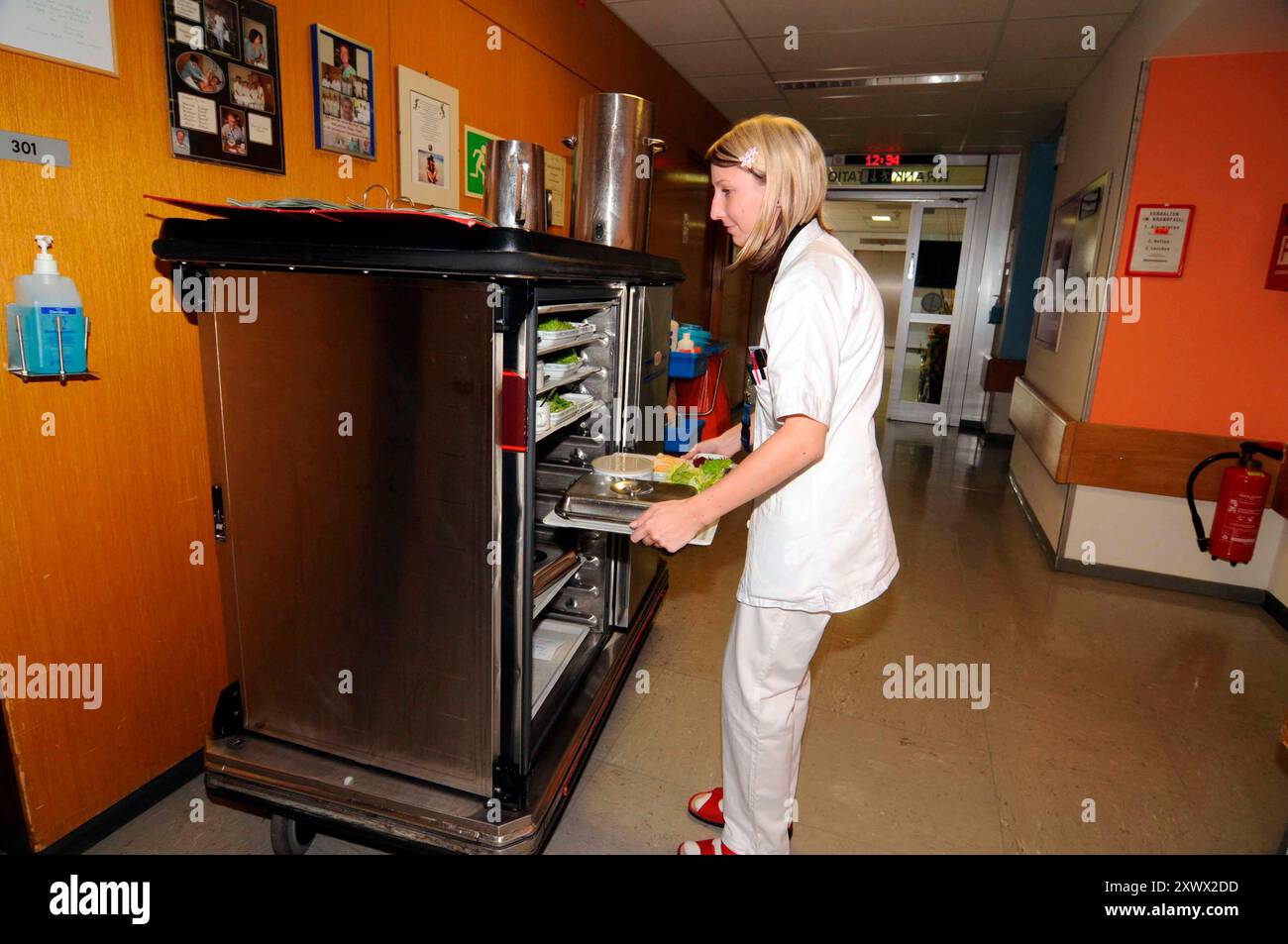 food and nutrition in an hospital given food and nutrition in an ...