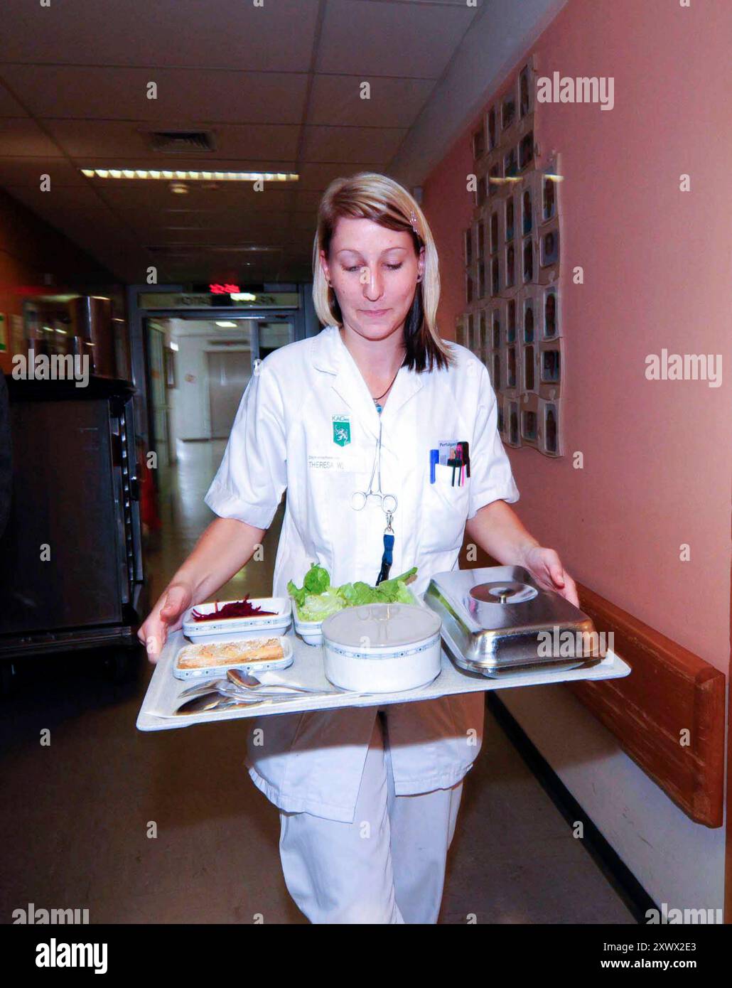 food and nutrition in an hospital given food and nutrition in an ...