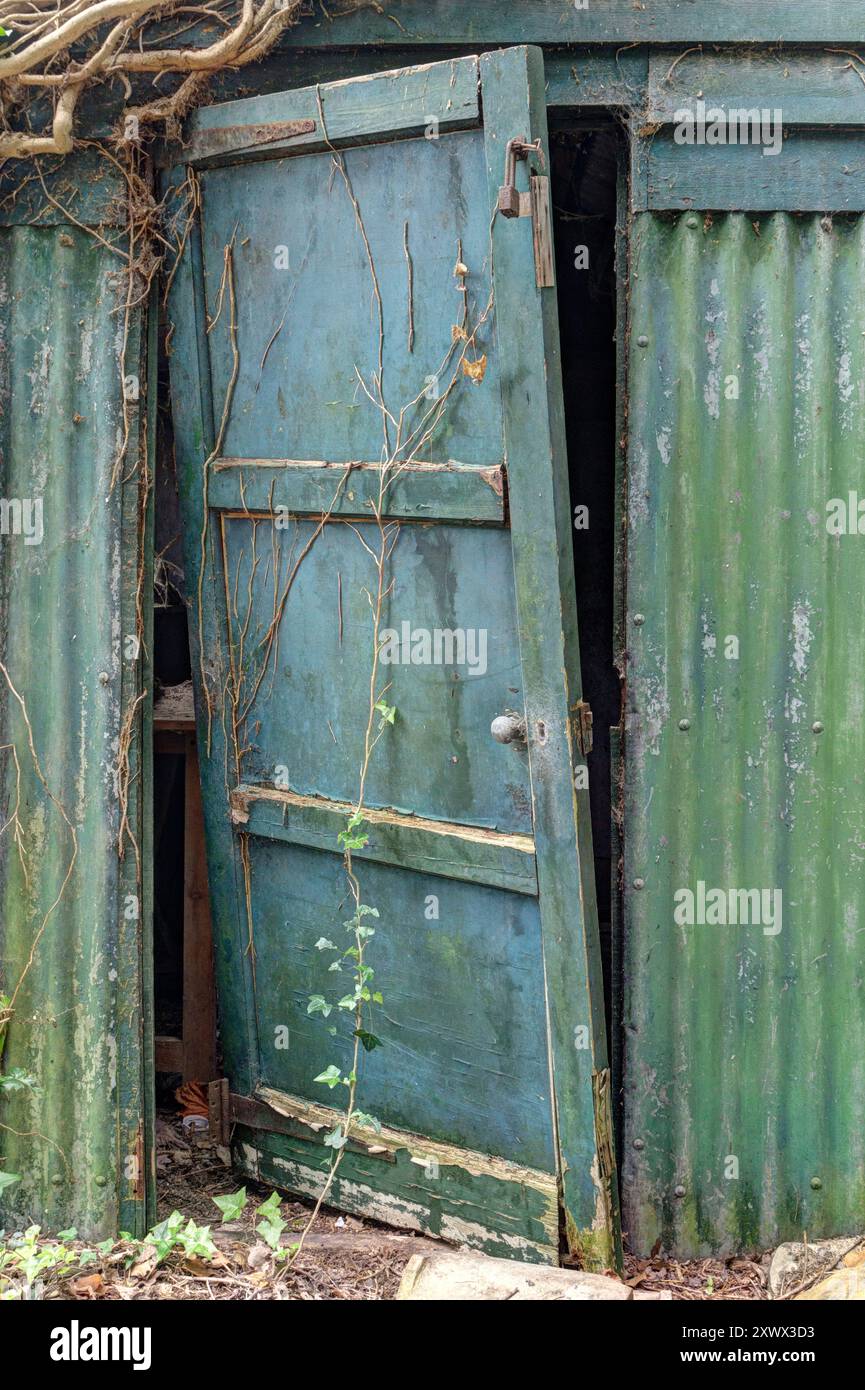 green shed door slightly open with broken hinges on rotting shed Stock ...