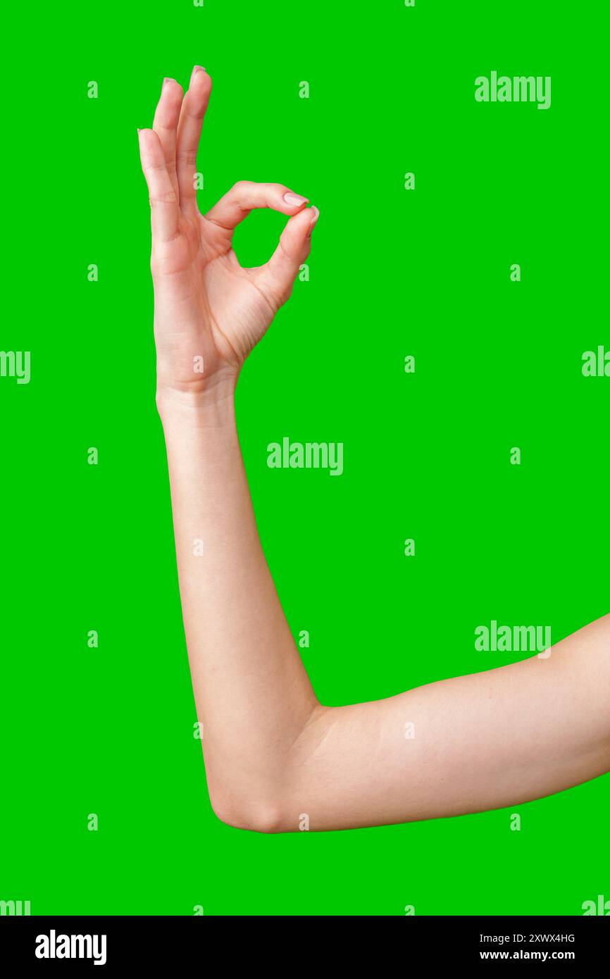 Woman's Hand Making Okay Sign Against Green Screen Stock Photo - Alamy
