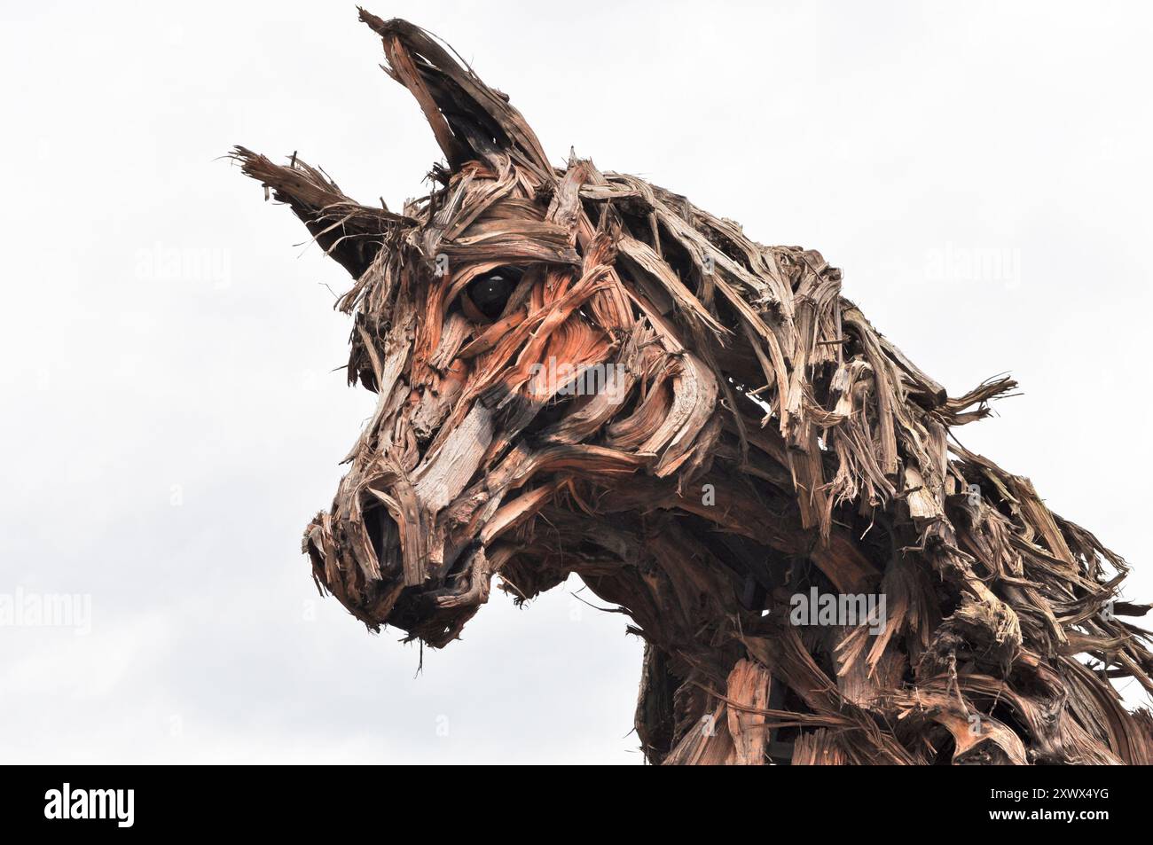 From the devastation of the Vaia storm, Marco Martalar creates art. His ...