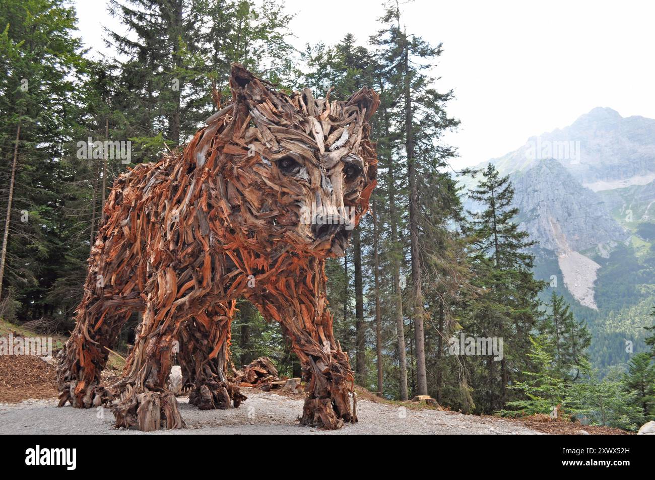 From the devastation of the Vaia storm, Marco Martalar creates art. His ...