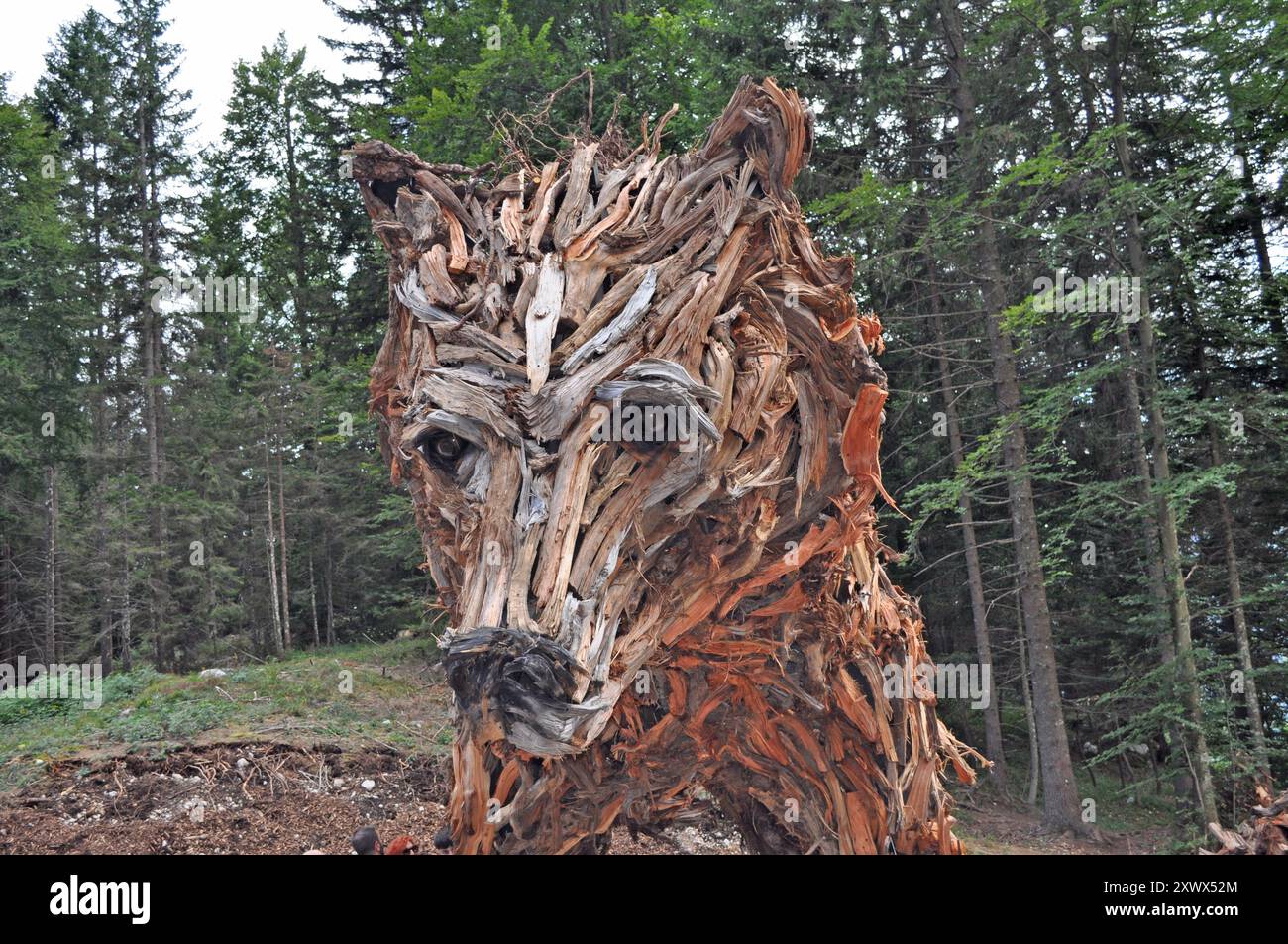 From the devastation of the Vaia storm, Marco Martalar creates art. His ...