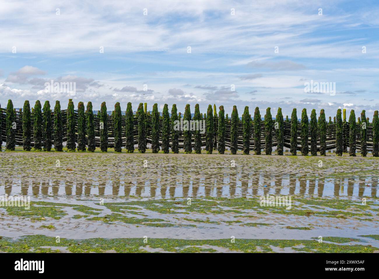 Hillion (north-western France): mussel farming in the Bay of Saint ...