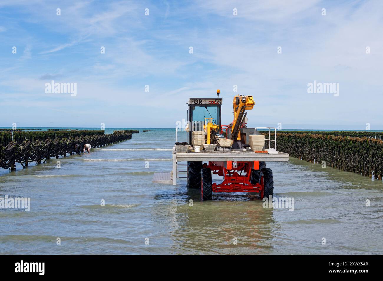 Hillion (north-western France): mussel farming in the Bay of Saint ...