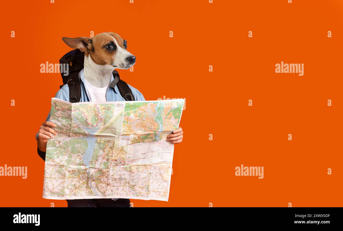 Dog Wearing Backpack and Holding Map in Front of Orange Stock Photo - Alamy