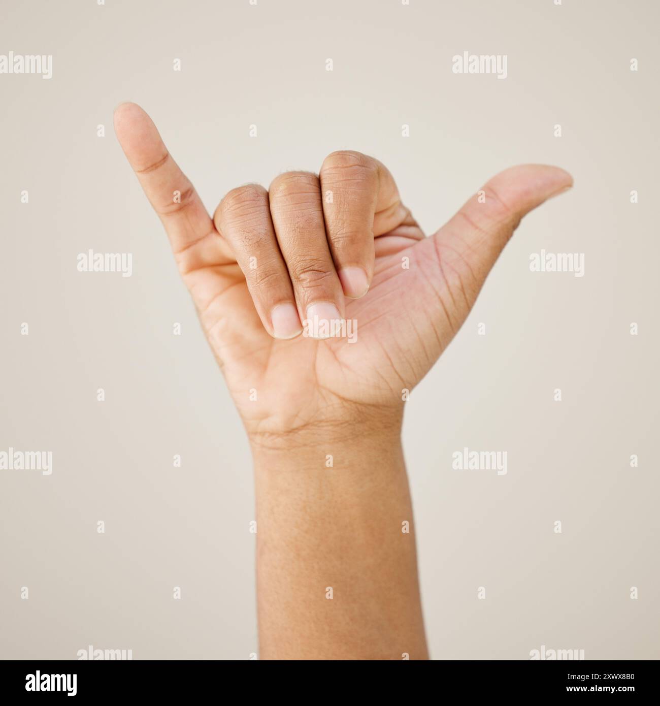Person, hand gesture and sign language in studio background, shaka icon ...