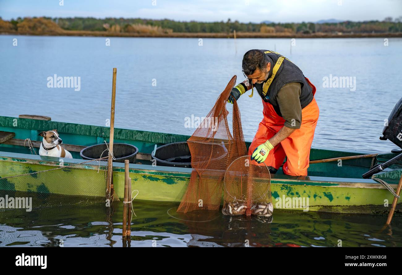 Italy: fisherman on a small motorboat, with his dog, catching European ...