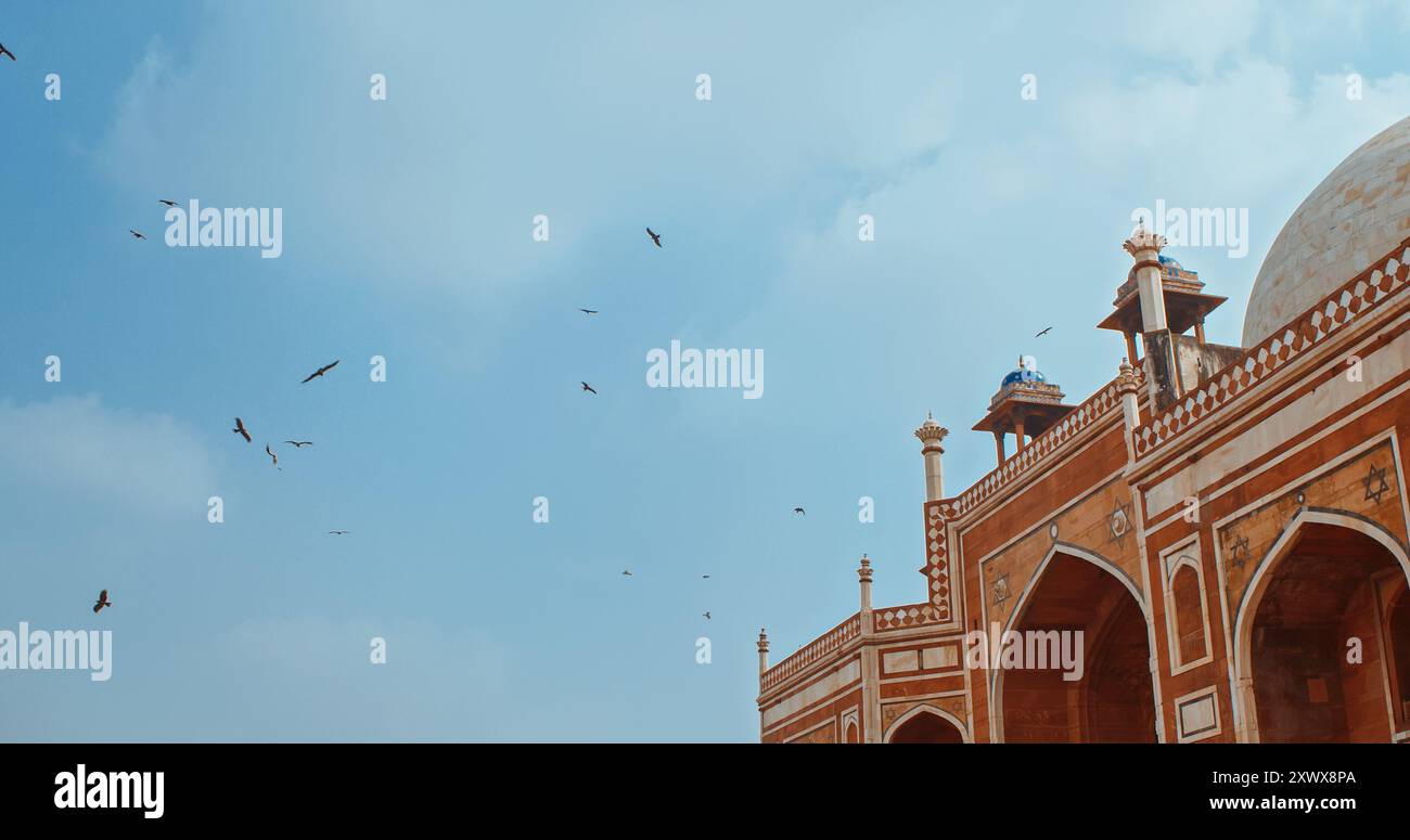 New Delhi, Delhi, India. Birds flying around of Humayun's tomb. Black ...