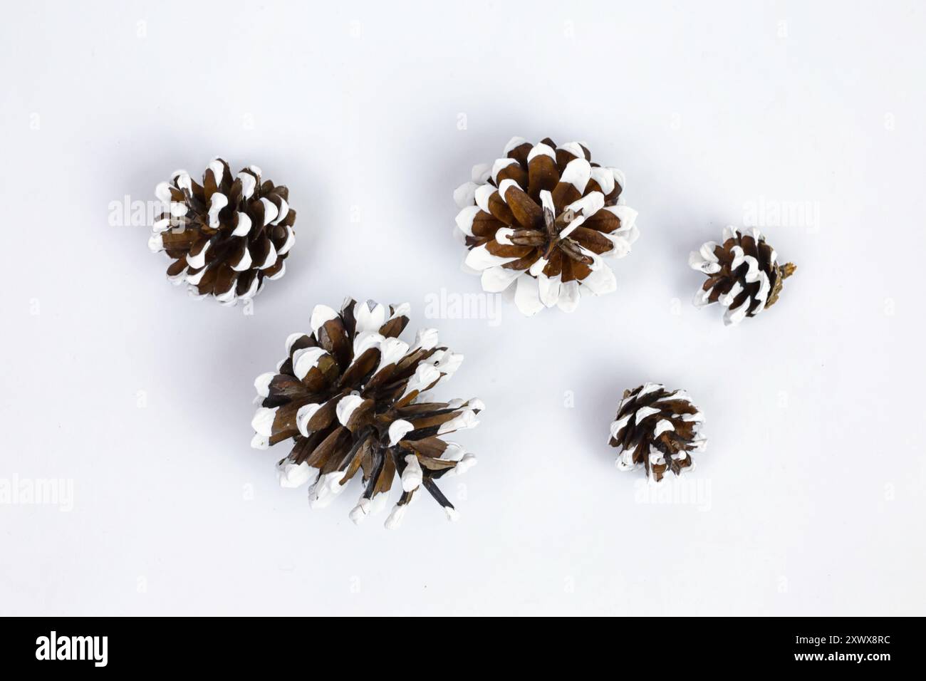 various types of cones. bumps for a decor on a white background. top ...