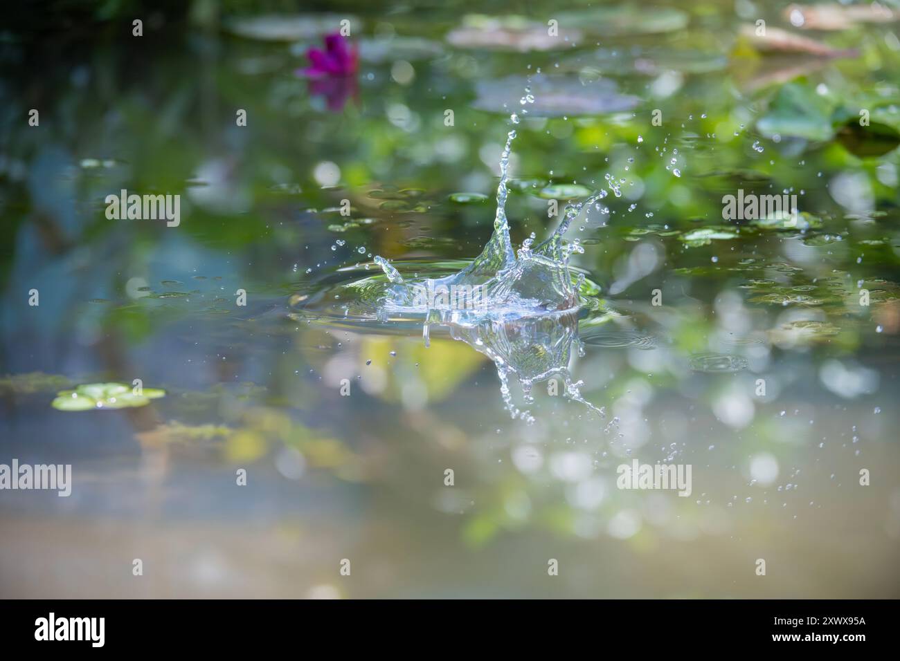 The state of water when a heavy object falls into it Stock Photo - Alamy