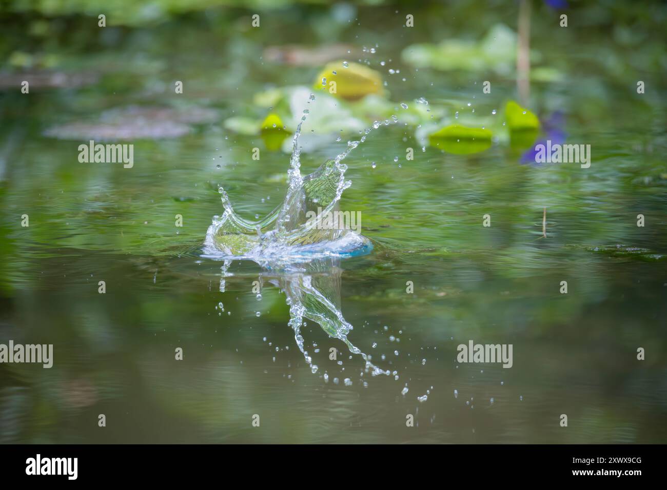 The state of water when a heavy object falls into it Stock Photo - Alamy