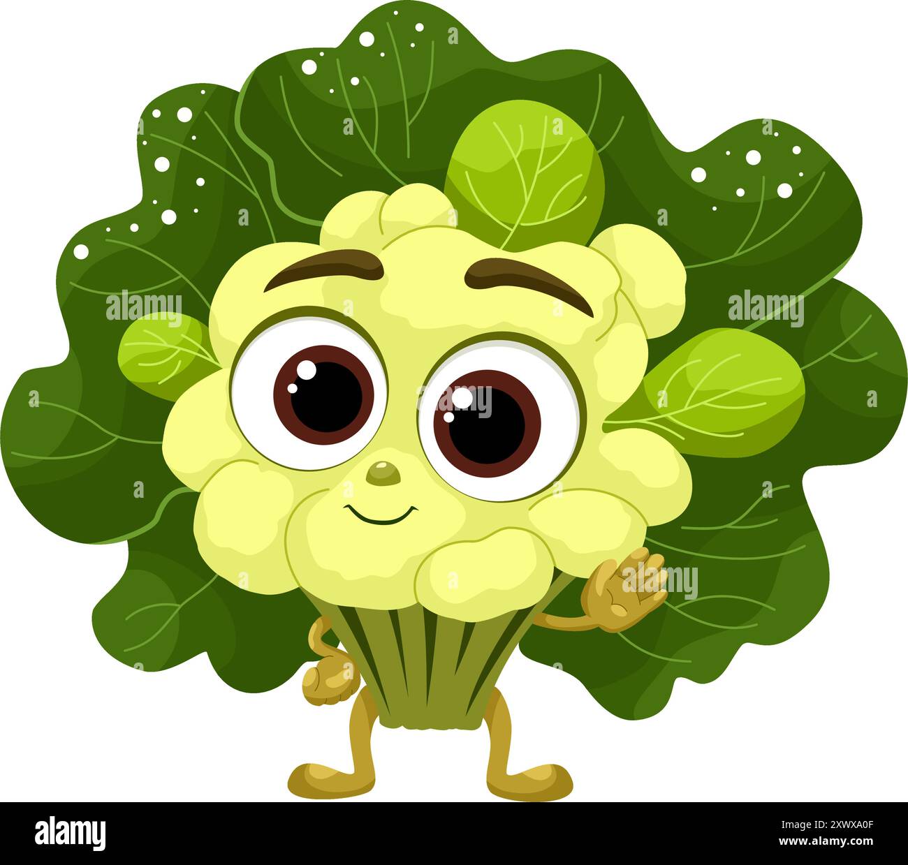 Cauliflower cartoon character hi-res stock photography and images - Alamy