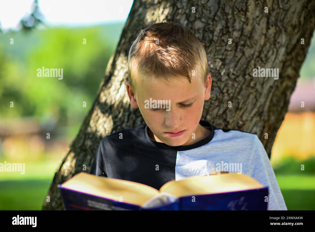 Boy sitting under tree in hi-res stock photography and images - Alamy