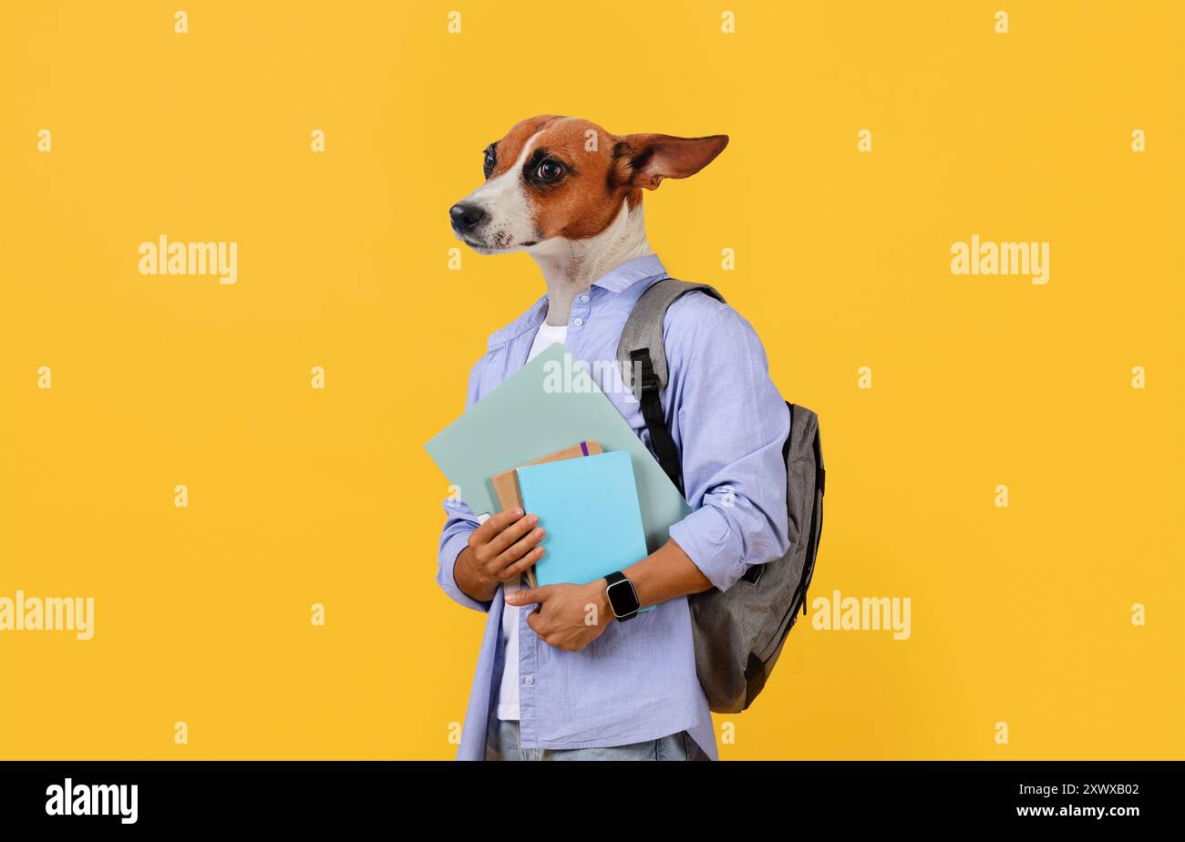 Dog Dressed As Student Holding Books In Front Of Yellow Stock Photo - Alamy
