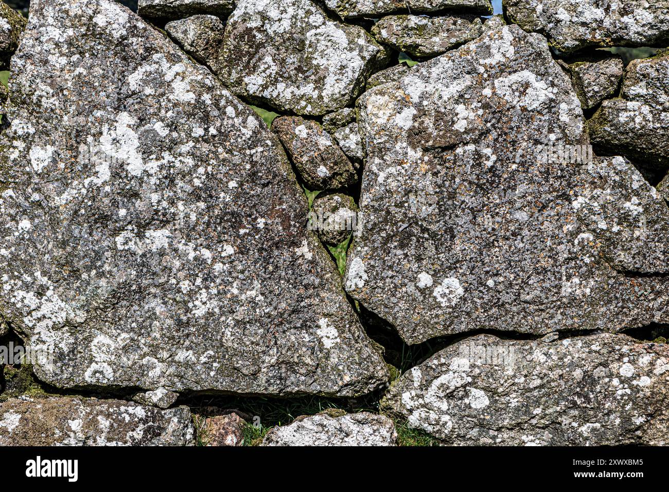 A classic dry stone wall in Devon Stock Photo - Alamy