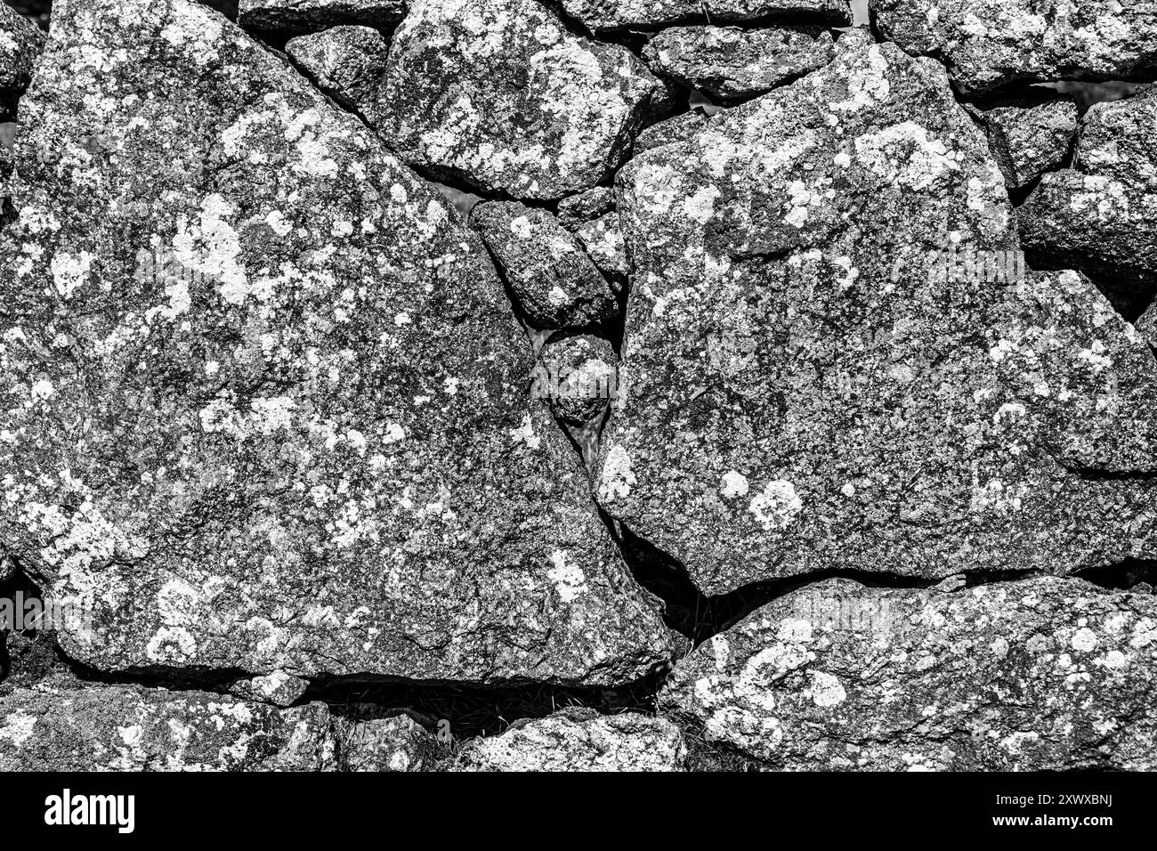 A classic dry stone wall in Devon Stock Photo - Alamy