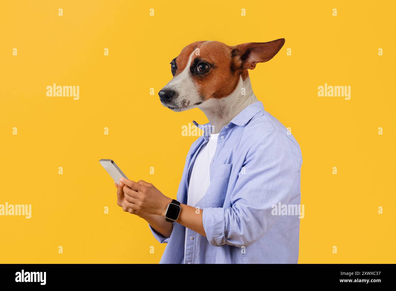 Dog With Human Body Using Smartphone Against Yellow Background Stock ...