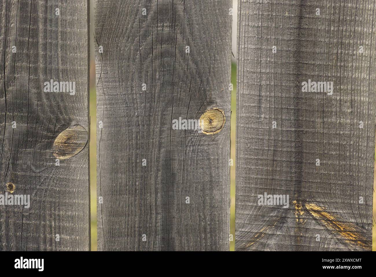 Close board fence hi-res stock photography and images - Alamy