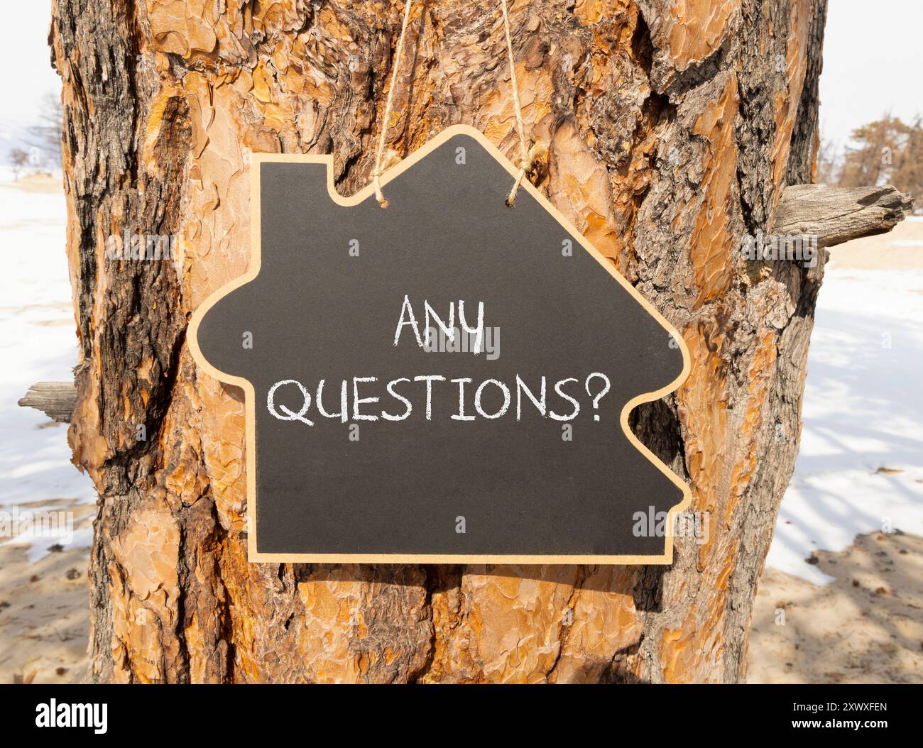 Any questions symbol. Concept words Any questions on beautiful black ...