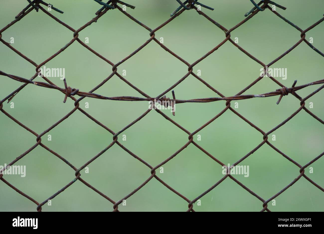 rusty wire fence with green field blurred background Stock Photo - Alamy