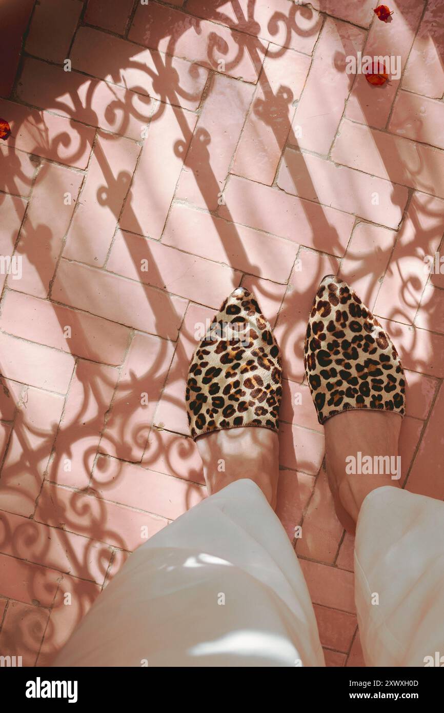 A pair of stylish leopard print shoes on a patterned floor, casting ...