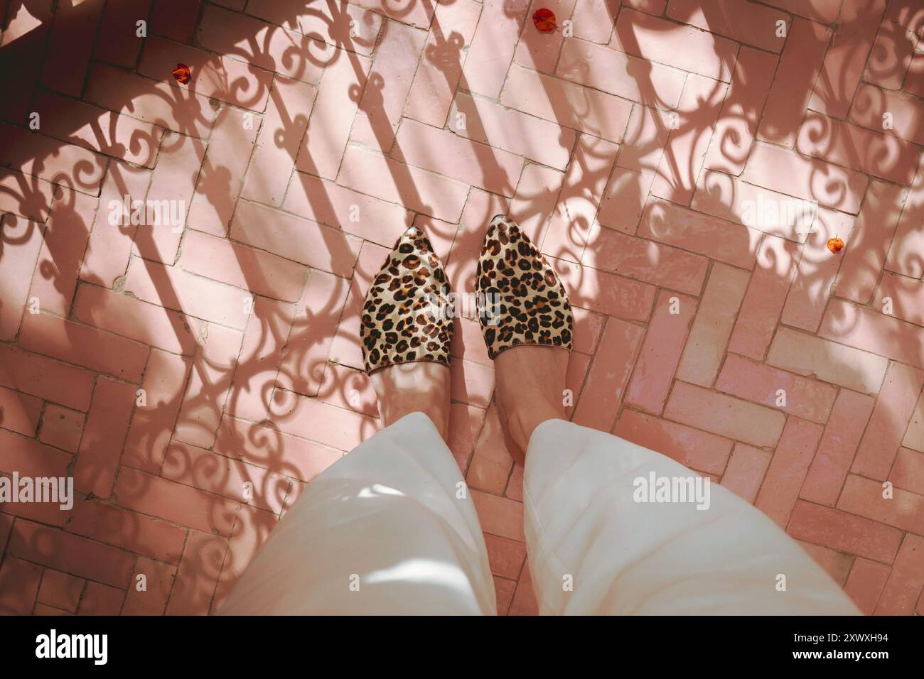 Feet selfie, stylish Leopard Print slipper mule shoes with sunlight ...