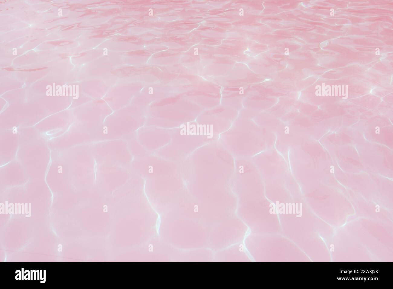 Underwater view in a pool with light refraction on a bright pink ...