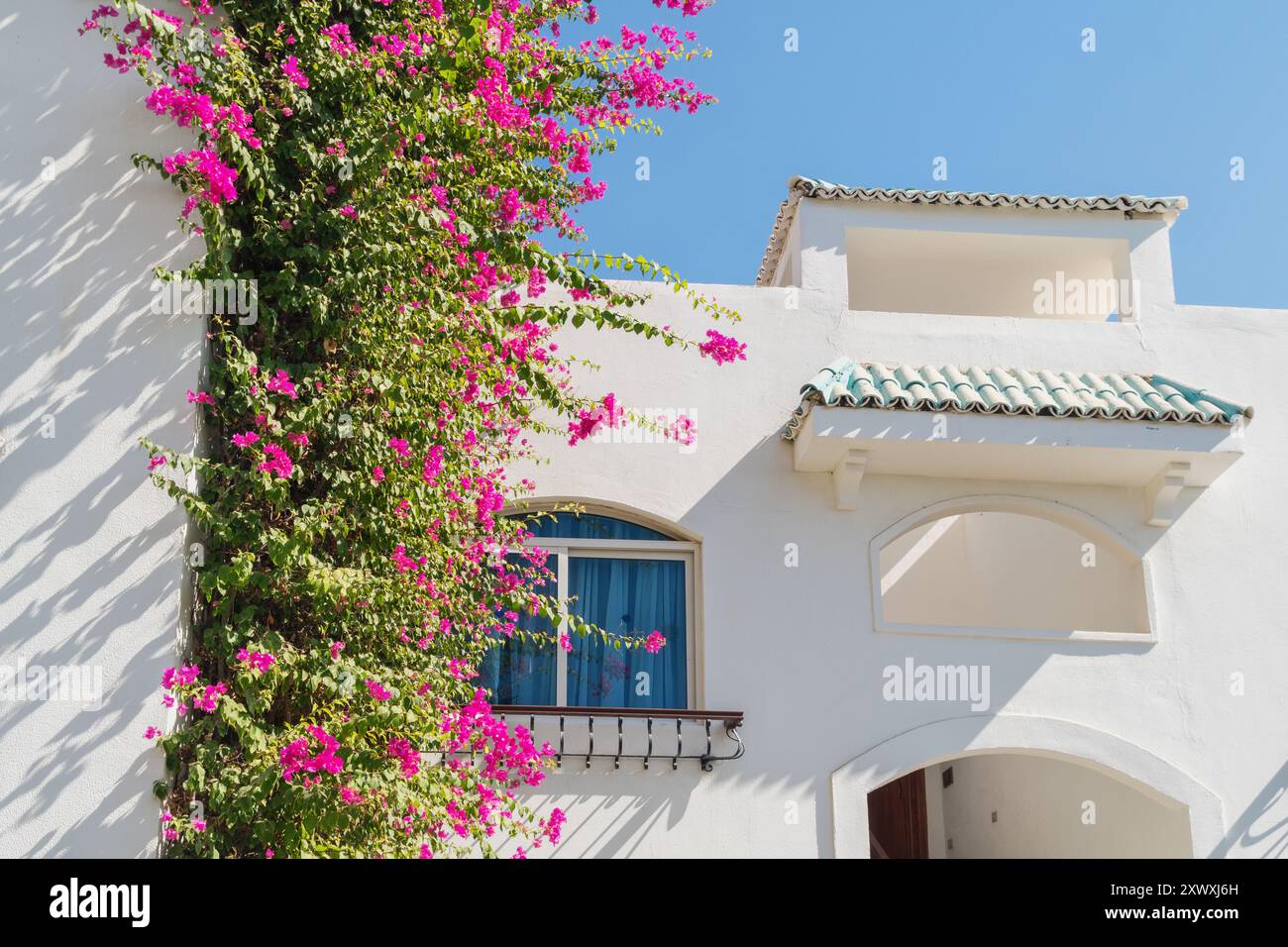 Mediterranean-style white building adorned with vibrant pink ...