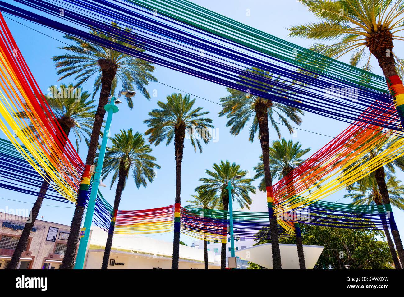 'PRIDE247' by AMLgMATD installation on palm trees in Lincoln Road for ...