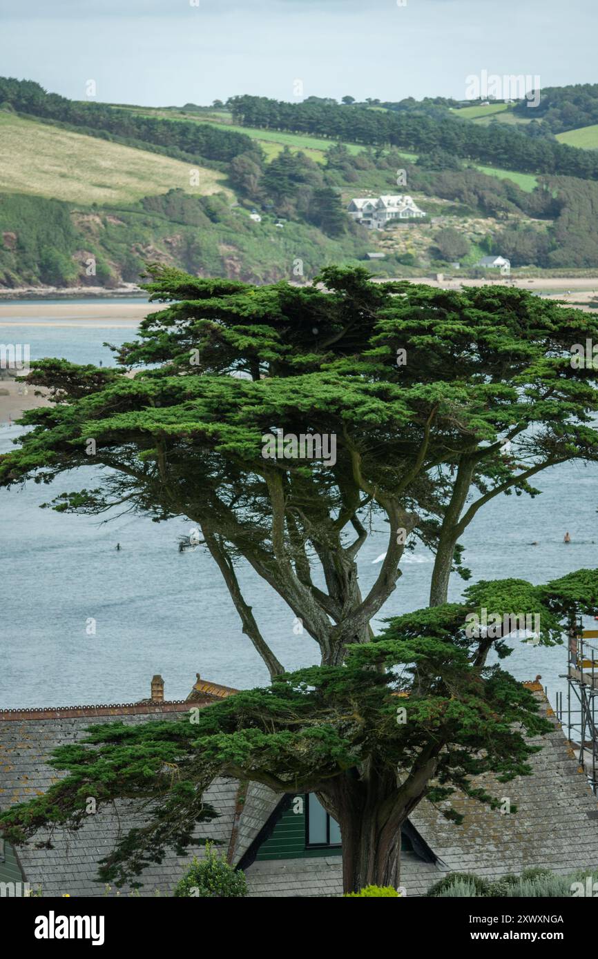 Burgh Island, Devon, UK Stock Photo - Alamy