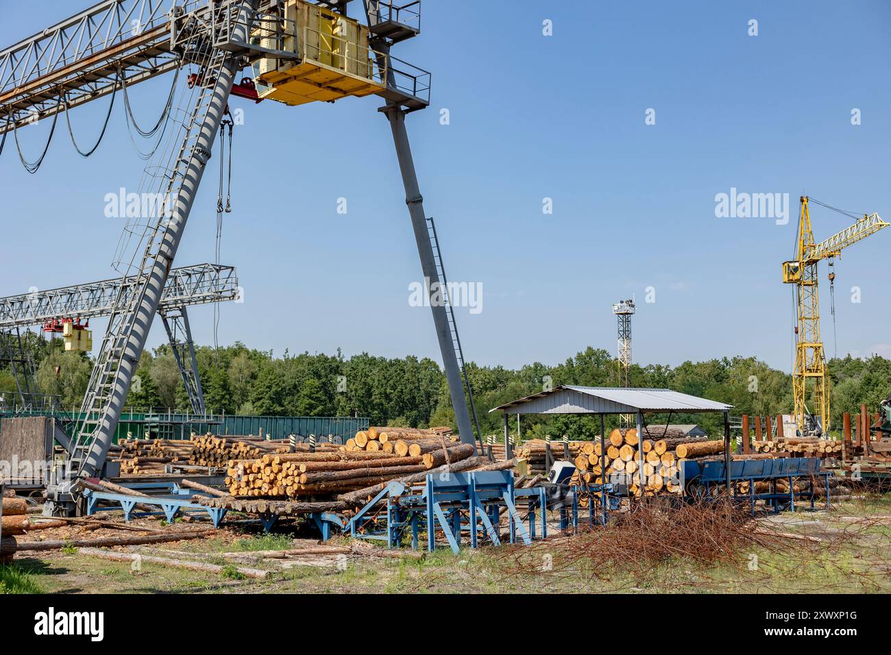 professional logging. Wood processing plant. Storage and transportation ...