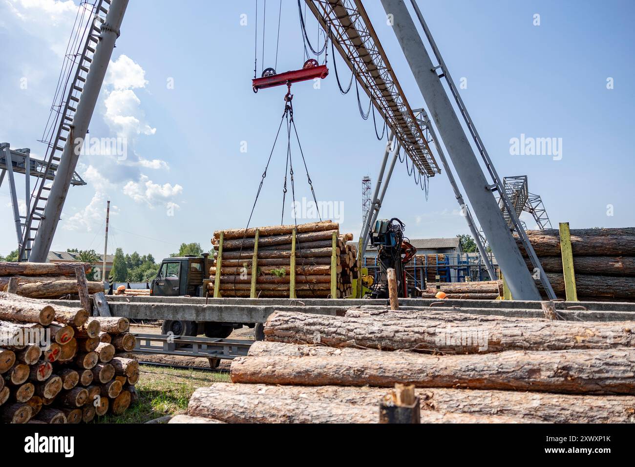professional logging. Wood processing plant. Storage and transportation ...