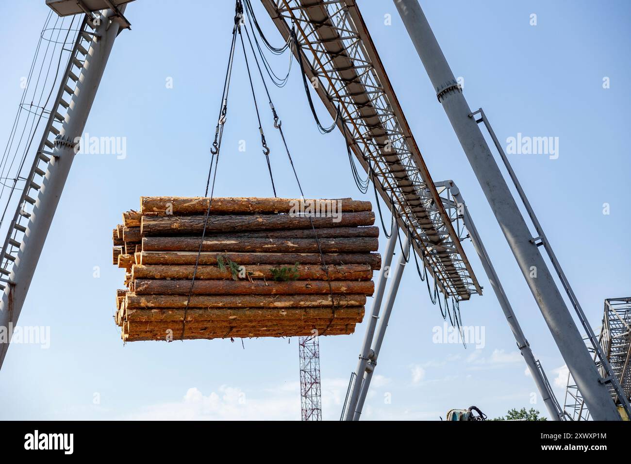 professional logging. Wood processing plant. Storage and transportation ...