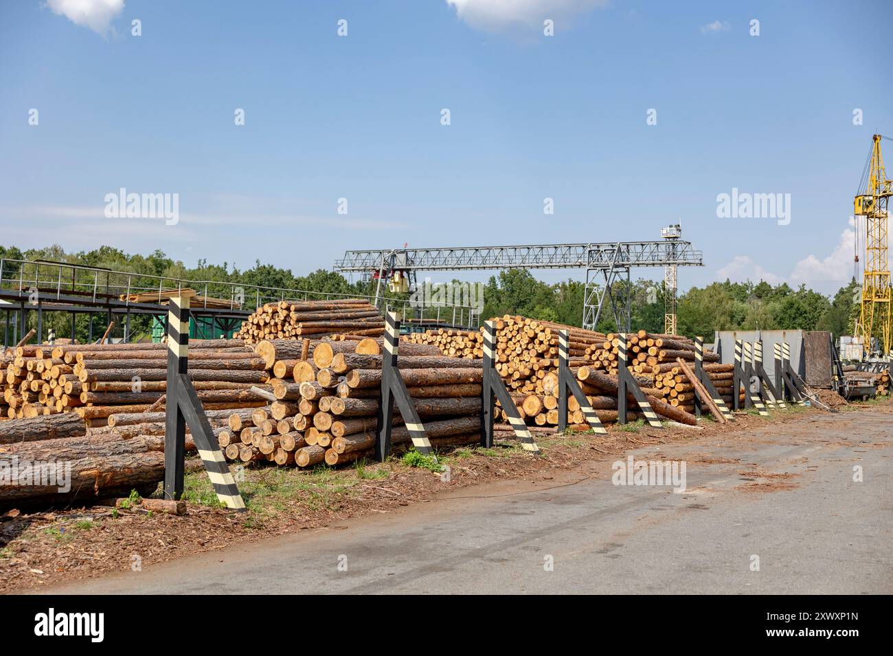 professional logging. Wood processing plant. Storage and transportation ...