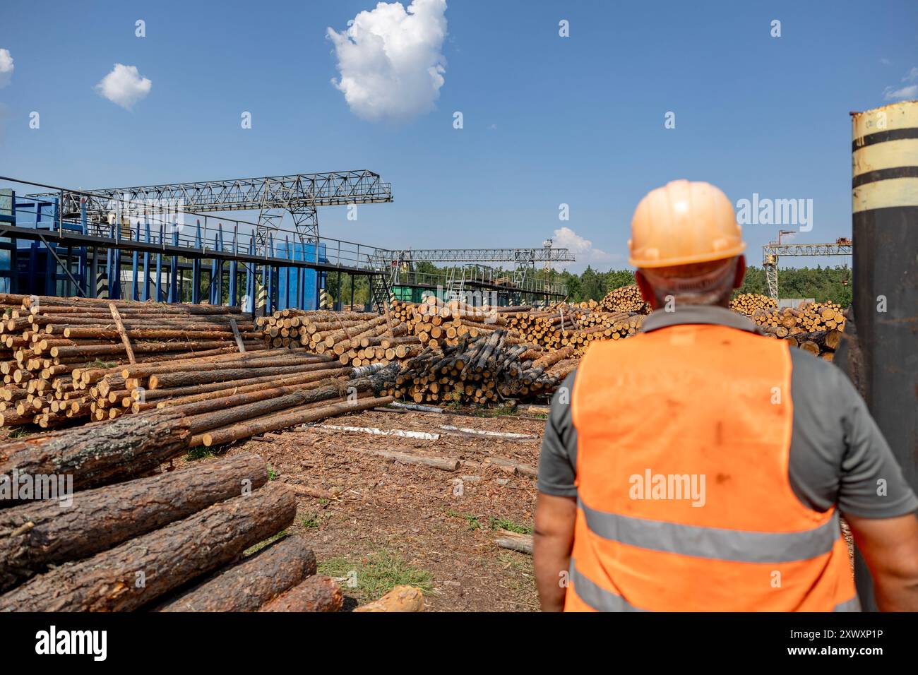 View of the backs of workers engaged in processing, loading and ...