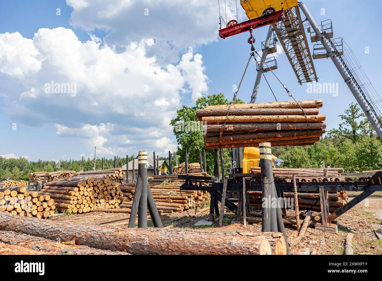 professional logging. Wood processing plant. Storage and transportation ...