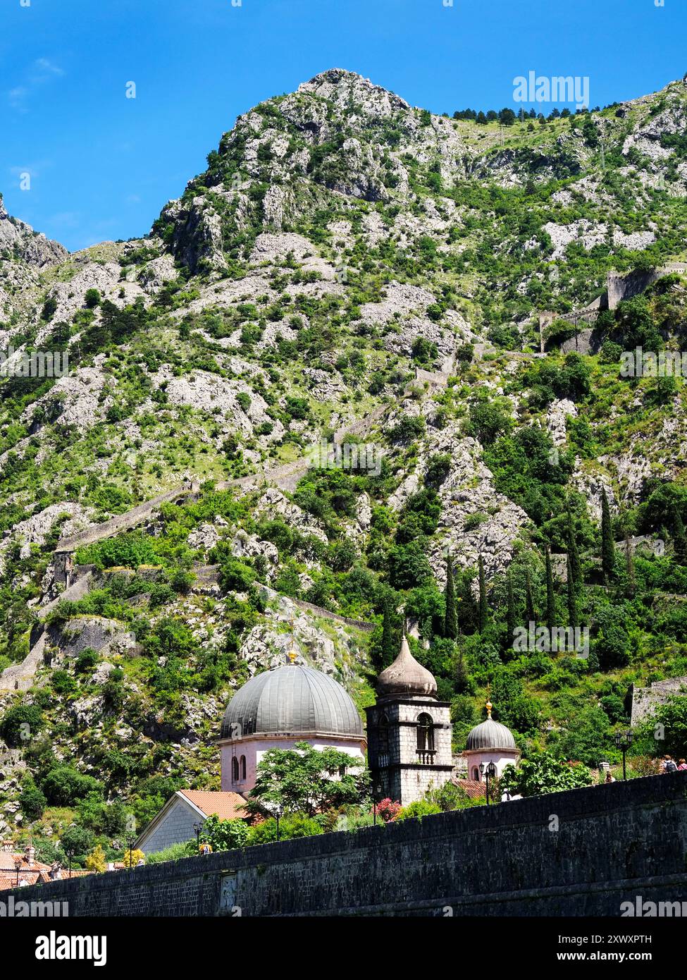 Kotor Old Town and City Walls extending up the mountain behind City of ...