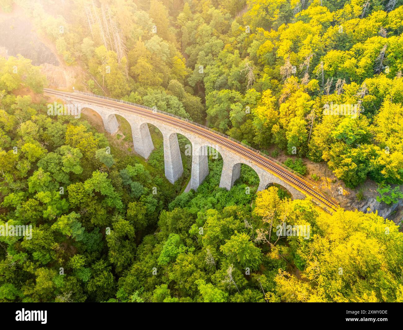 The Zampach stone railway bridge arches over greenery, nestled in a ...