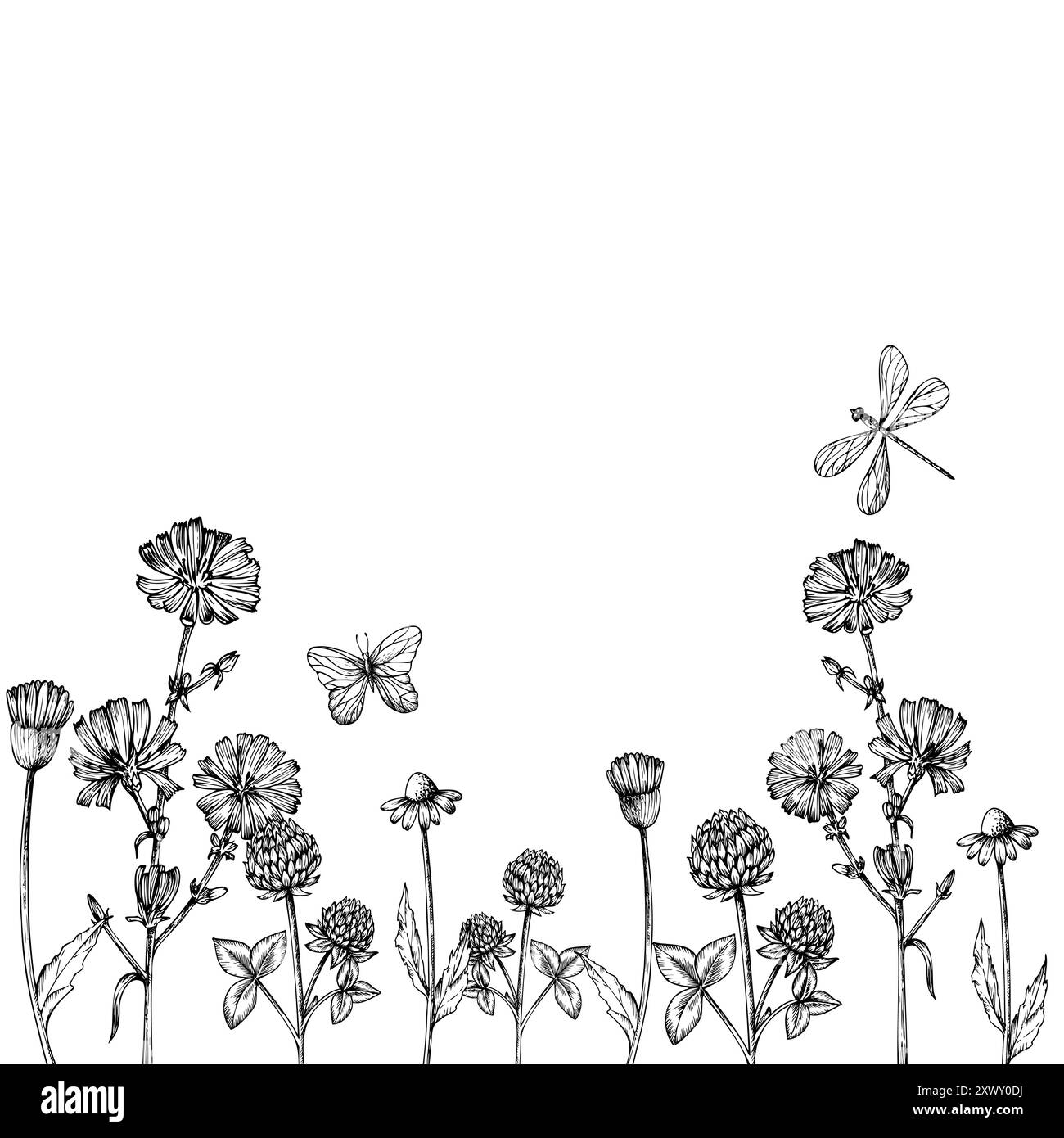 Flower border butterfly Black and White Stock Photos & Images - Alamy