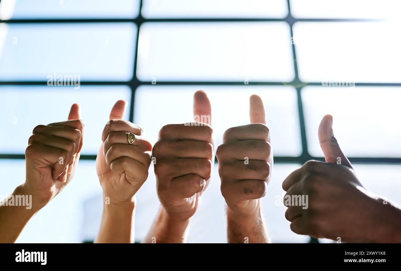 Business people, hands and thumbs up for support, feedback and like ...
