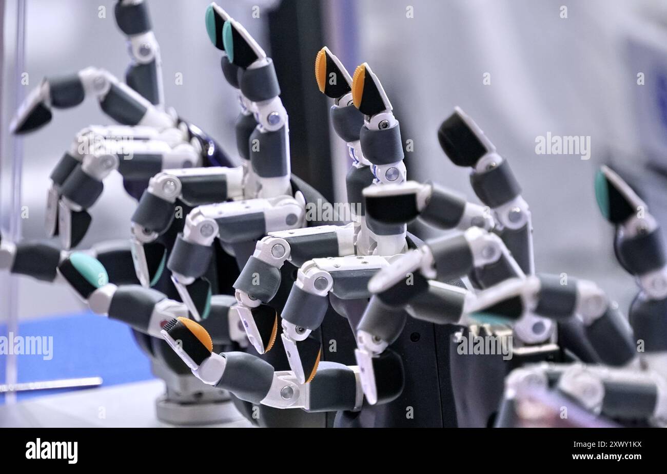 Beijing, China. 21st Aug, 2024. Intelligent robotic hands are pictured ...