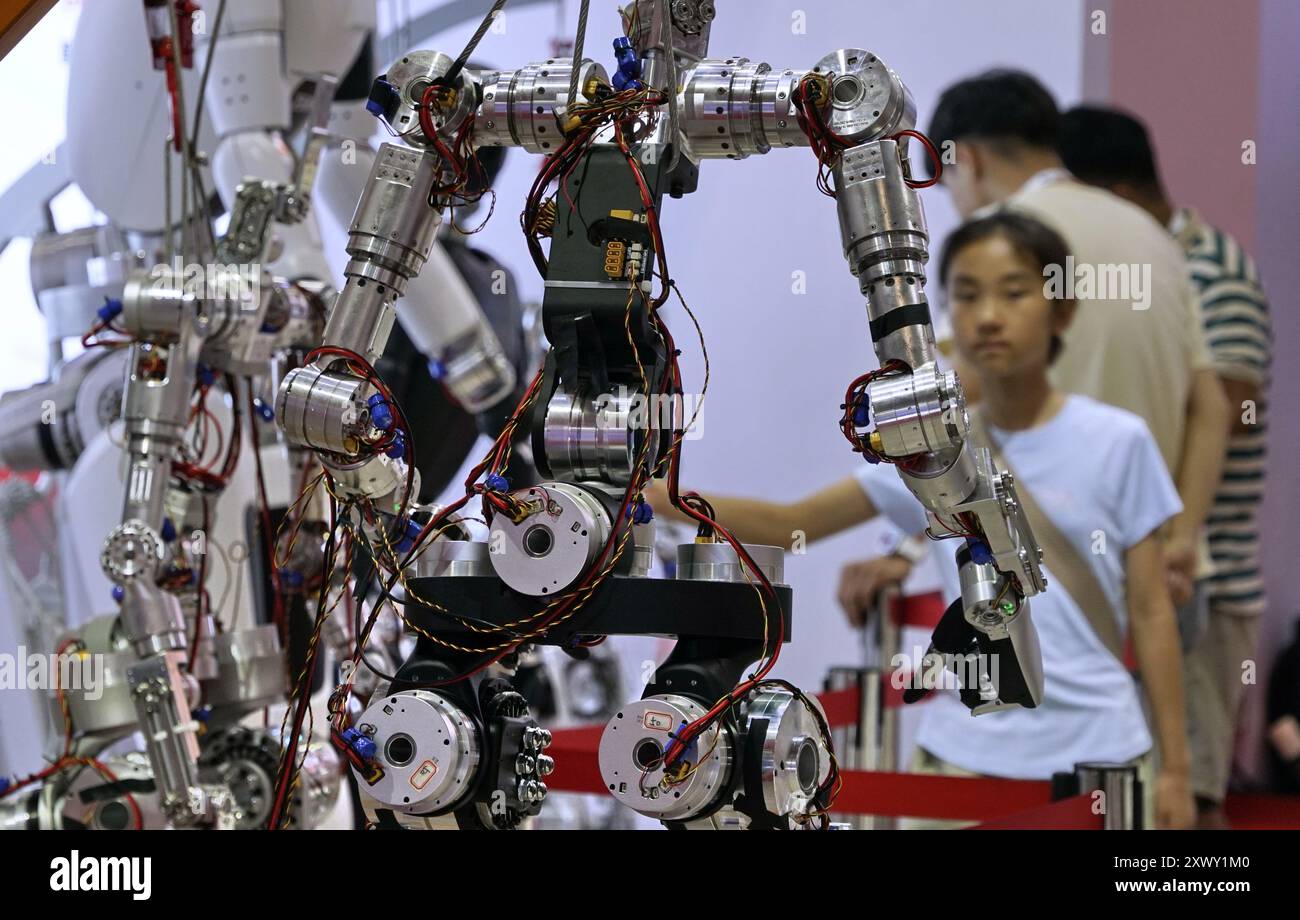 Beijing, China. 21st Aug, 2024. People visit the World Robot Conference ...