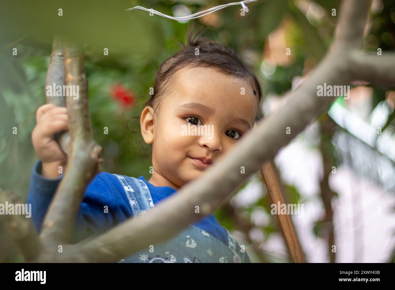 innocent toddler holding tree branch with cute facial expression at day ...
