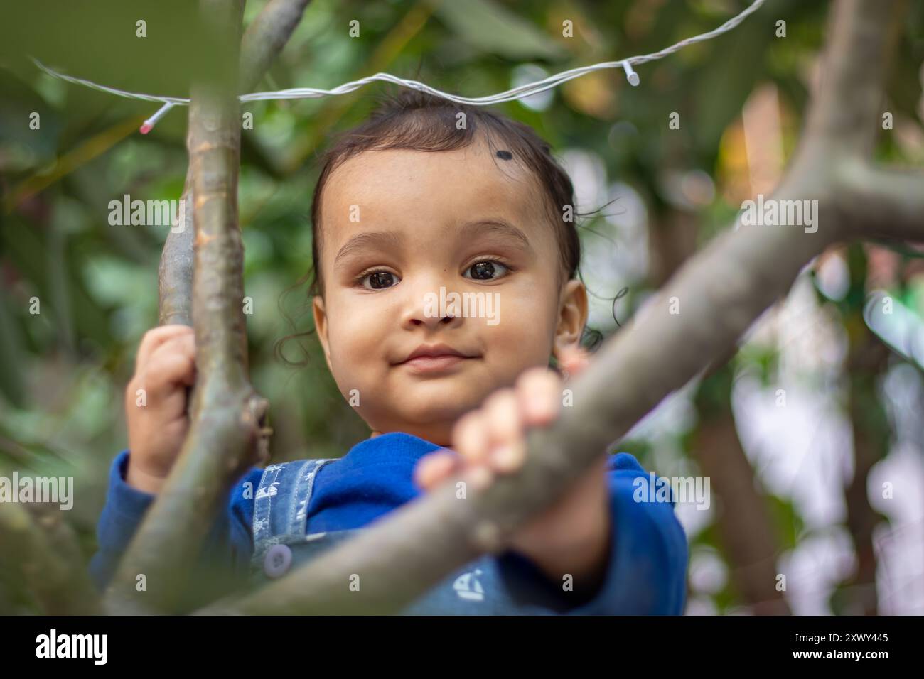 innocent toddler holding tree branch with cute facial expression at day from flat angle Stock ...