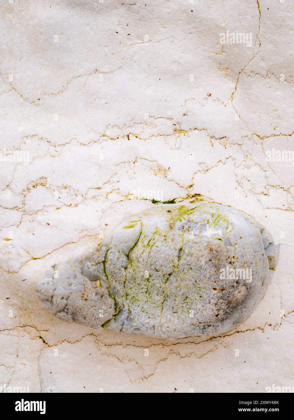 Chalk pebble on a chalk rock Stock Photo - Alamy