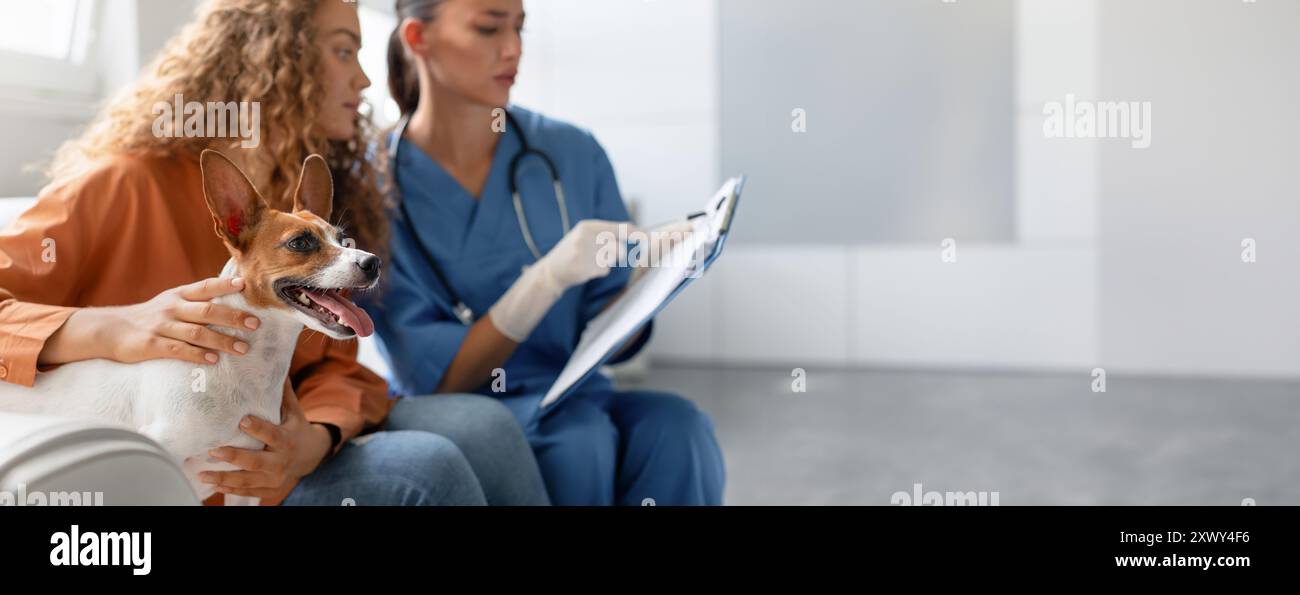 Vet records notes as owner comforts dog Stock Photo - Alamy