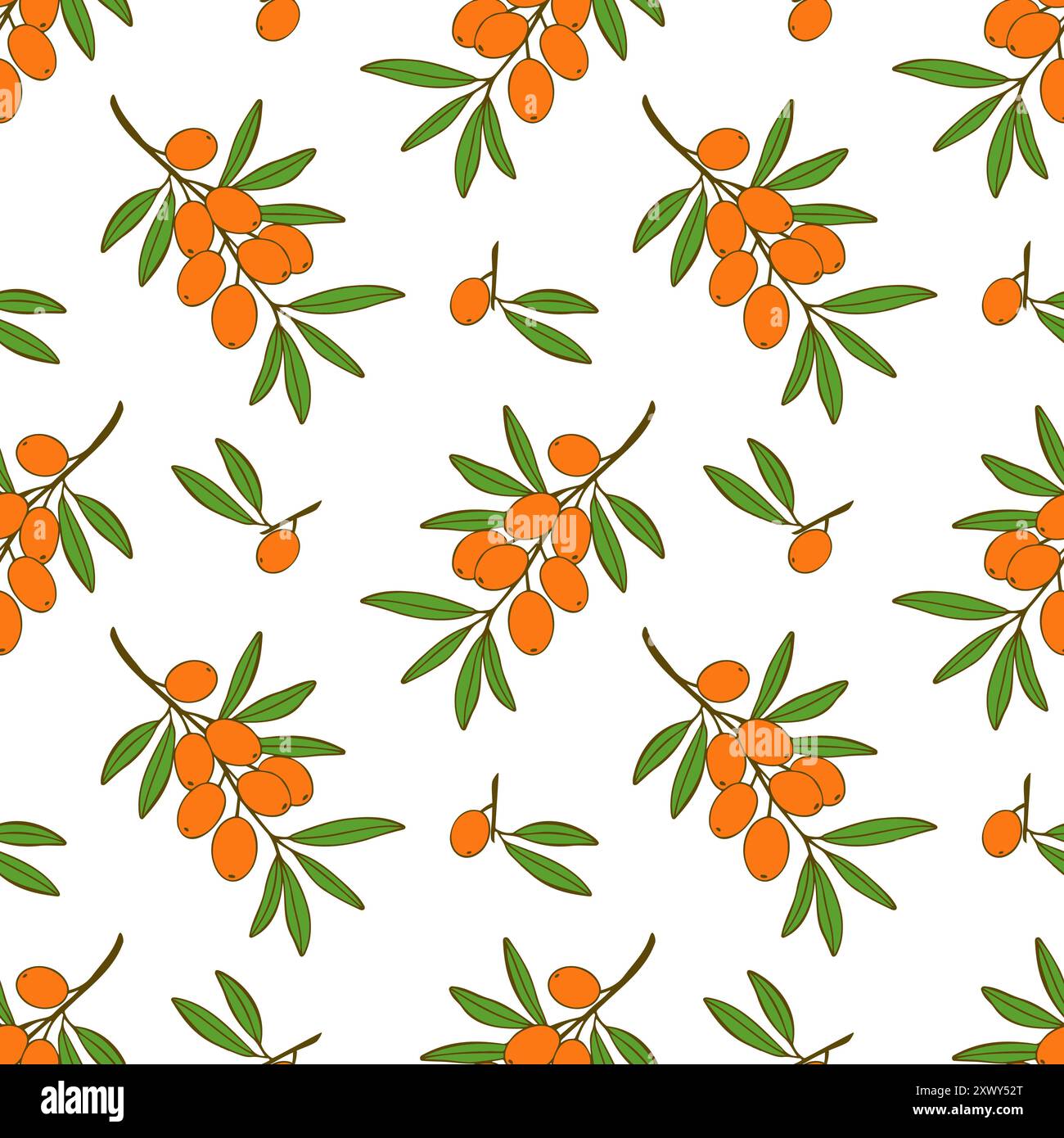 Sea buckthorn tree branches Stock Vector Images - Alamy